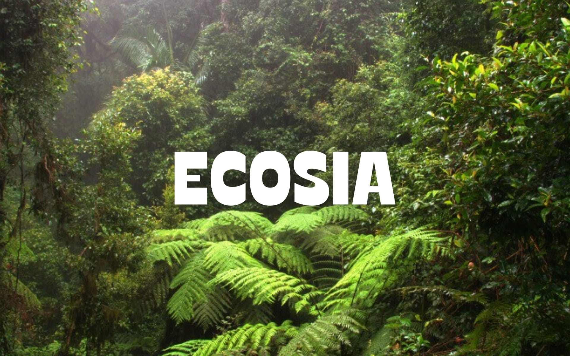 Ecosia 2025: Search Greener, Plant Trees & Reclaim Your Privacy – An In-Depth Review